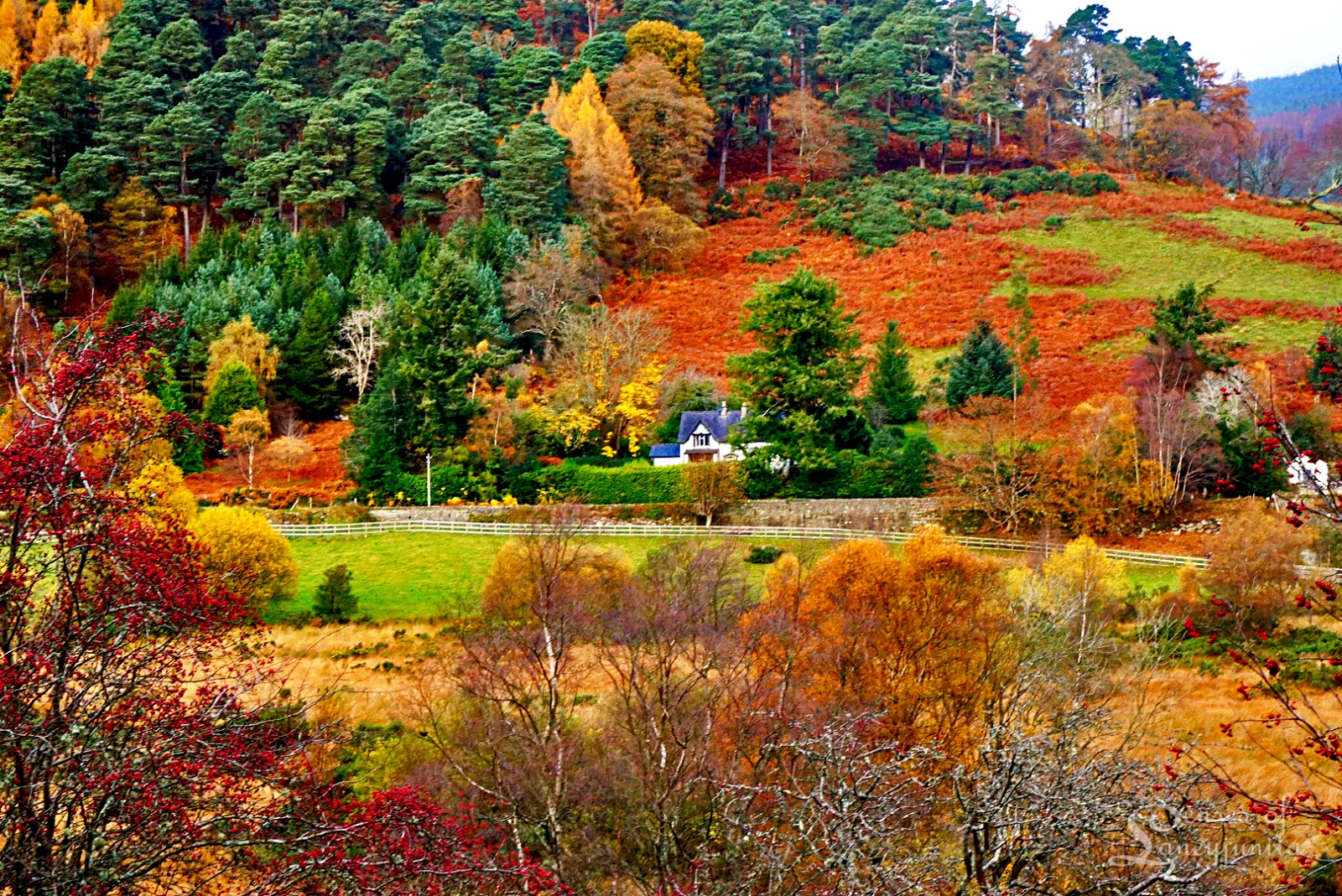 Journey Across The Amazing Earth: Wonderful Autumn in Glendalough and ...