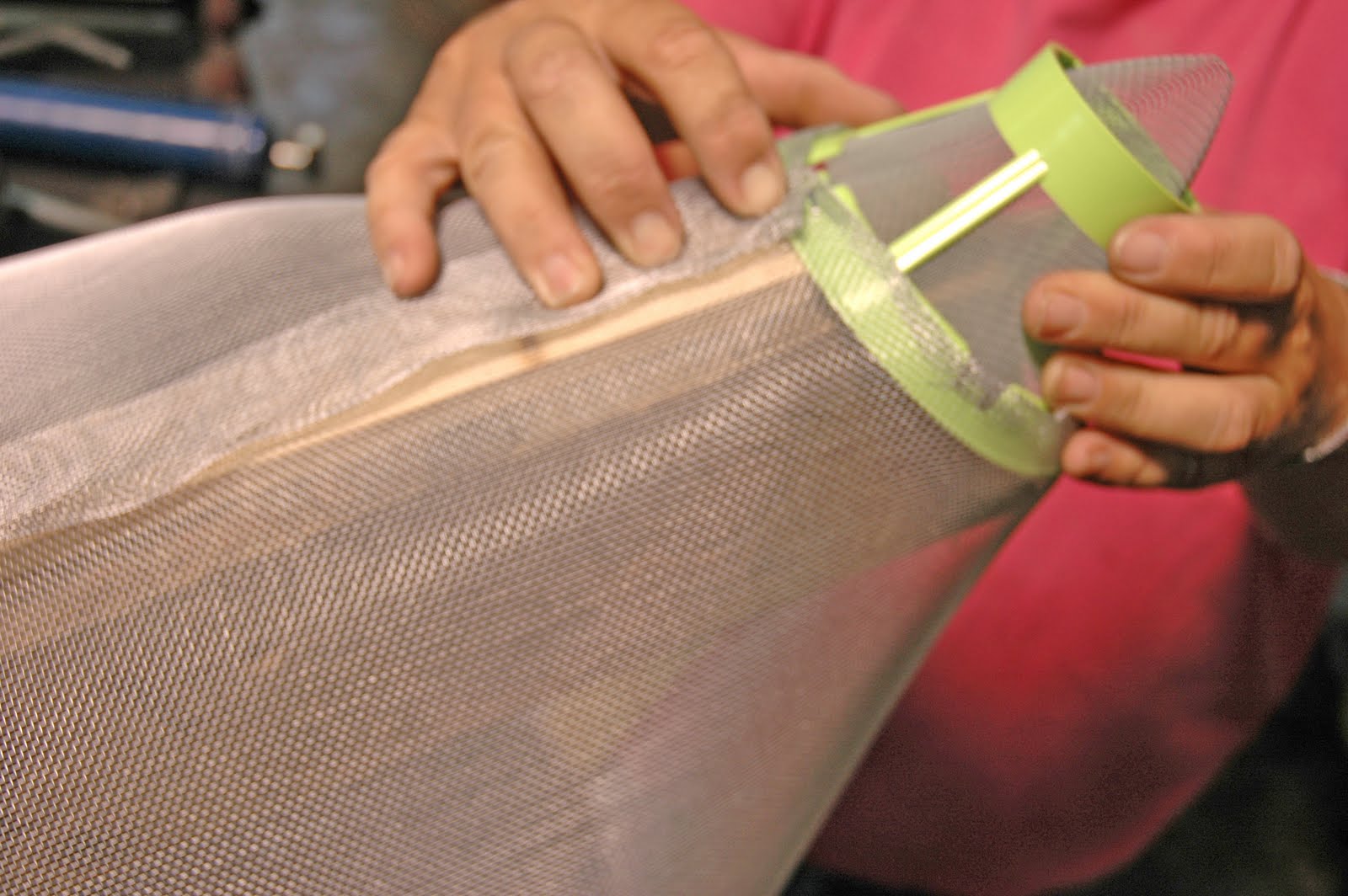 Northern Pecans: Building a pecan weevil trap