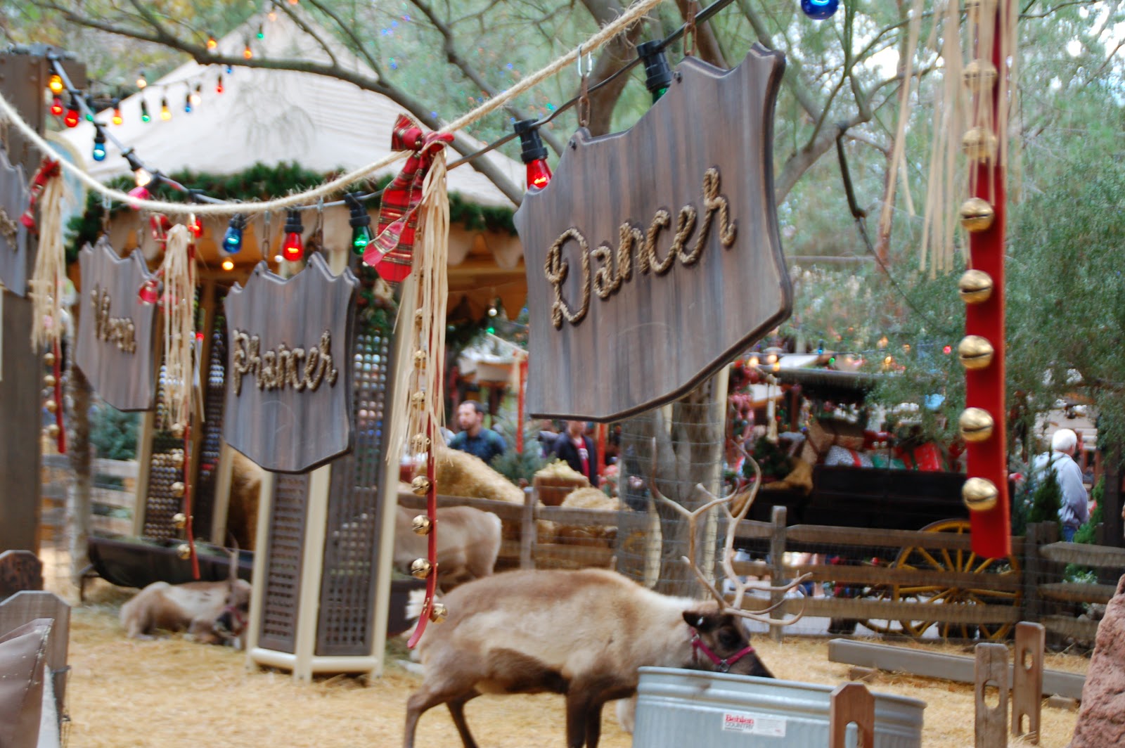 Disney Sisters: Disney December to Remember: Reindeer