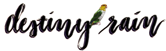 Stars of the Spiral: New Wizard101 Primeval Hoard Pack!