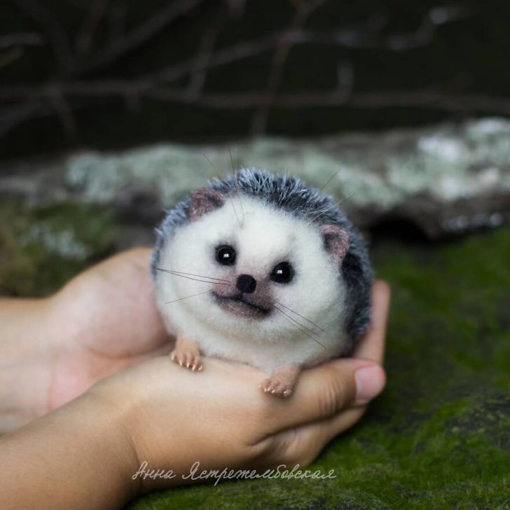 Super Realistic toys that look just like real animals!