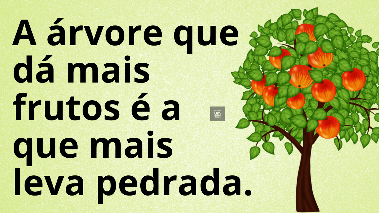 A árvore que dá mais frutos é a que mais leva pedrada.