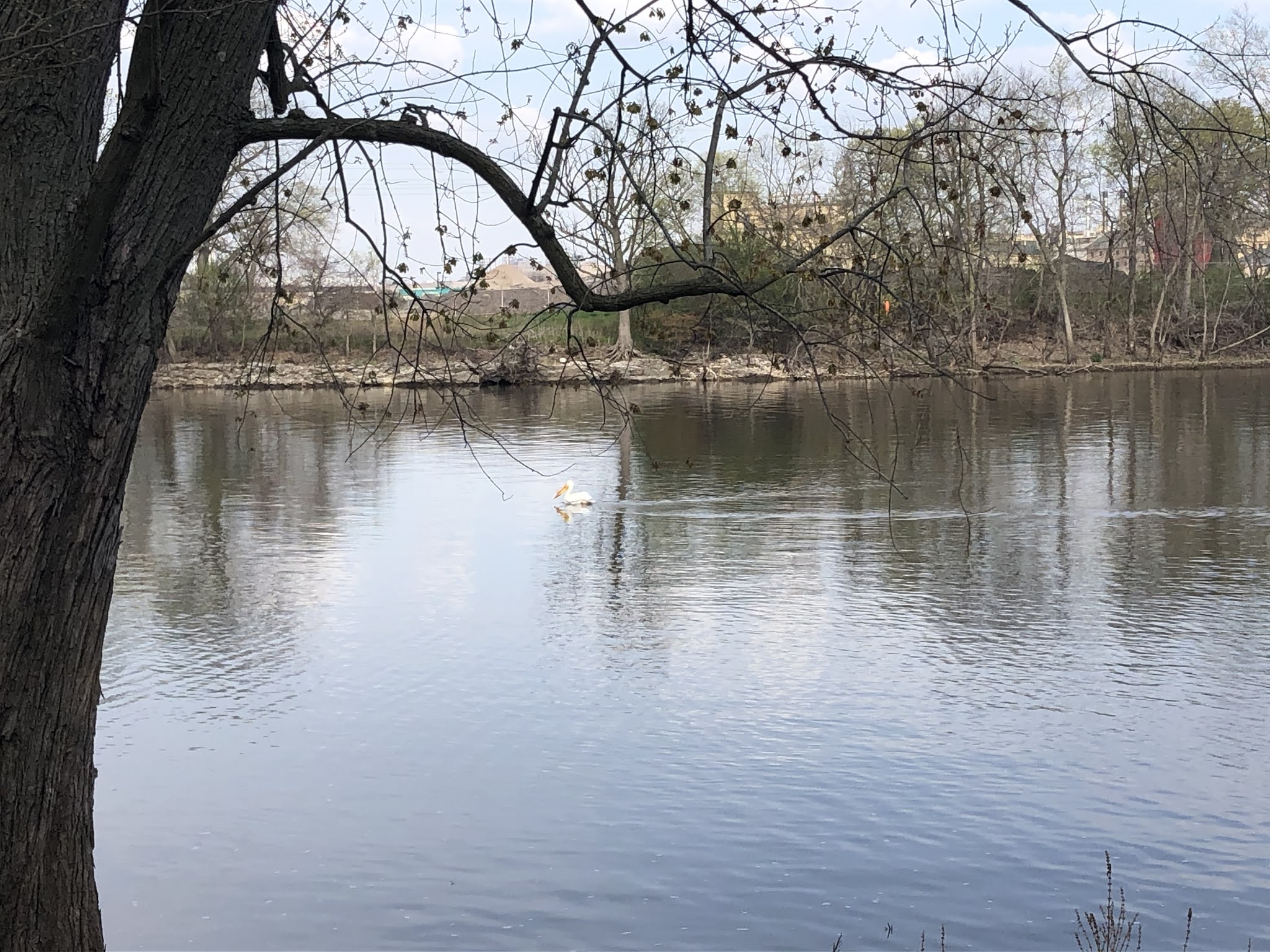 A Little Time and a Keyboard: Moline's Sylvan Island Exemplifies ...