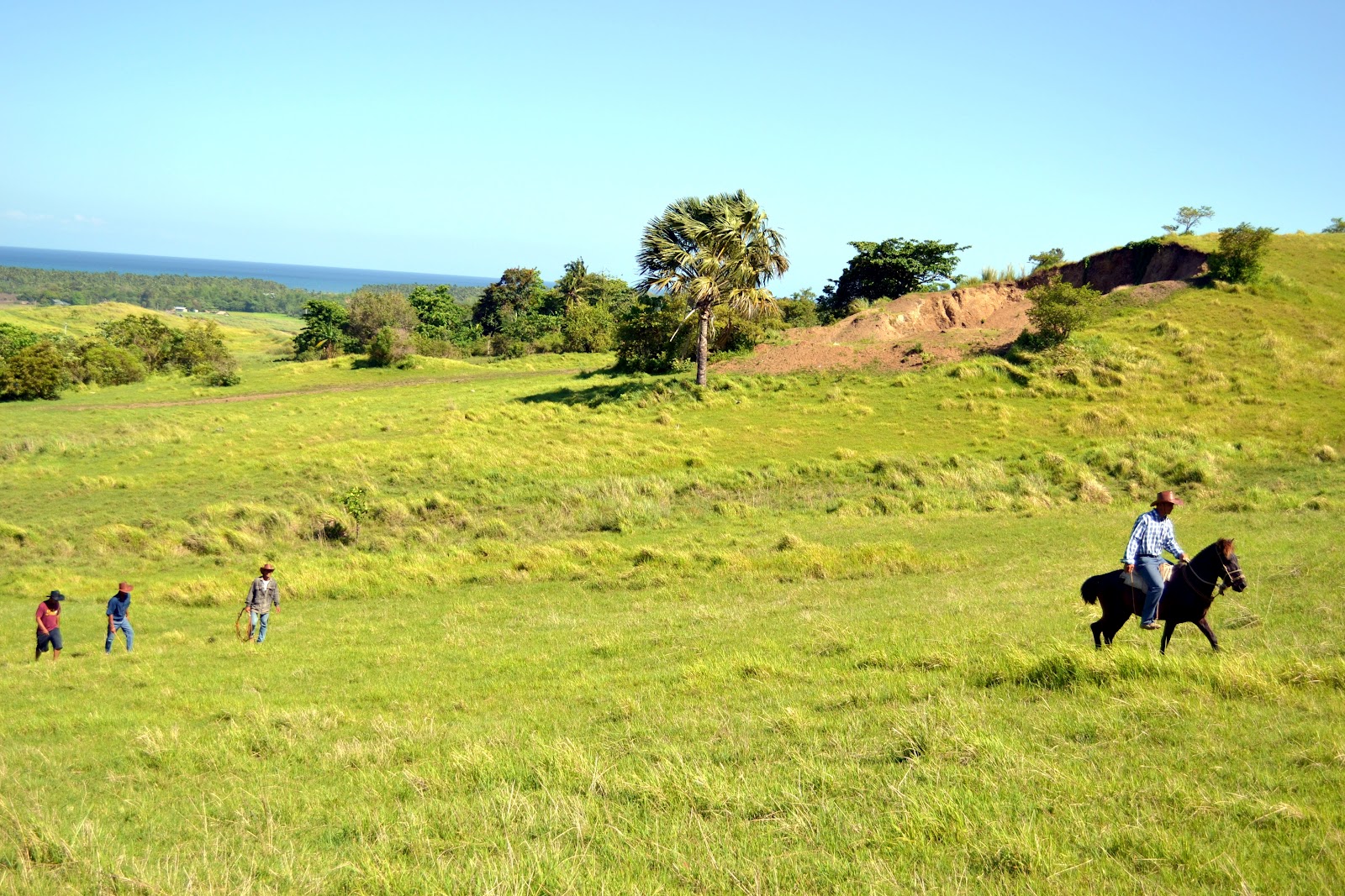 I love LIFE. I live LOVE.: Masbate: A Taste of Country II Balud Ranch ...