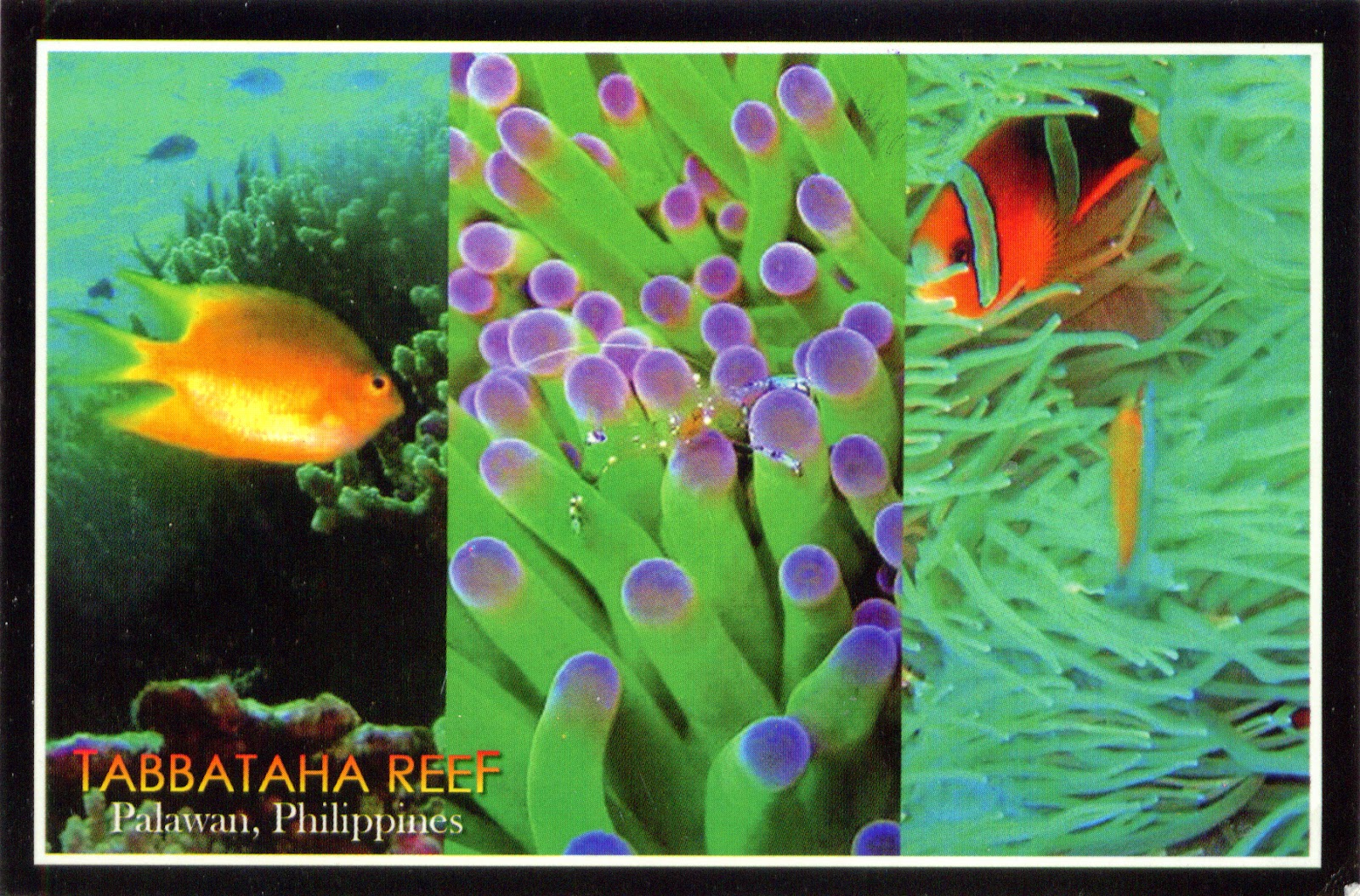 WORLD, COME TO MY HOME!: 0725 PHILIPPINES (Southwestern Tagalog Region ...