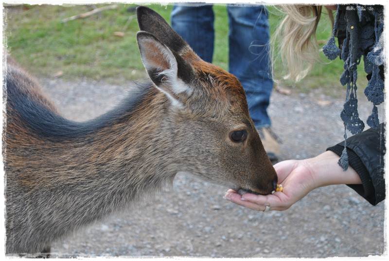 Lillemelle: ... eine schöne Zeit