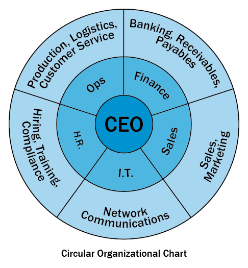 Science is fun: Organisation Charts and Manuals