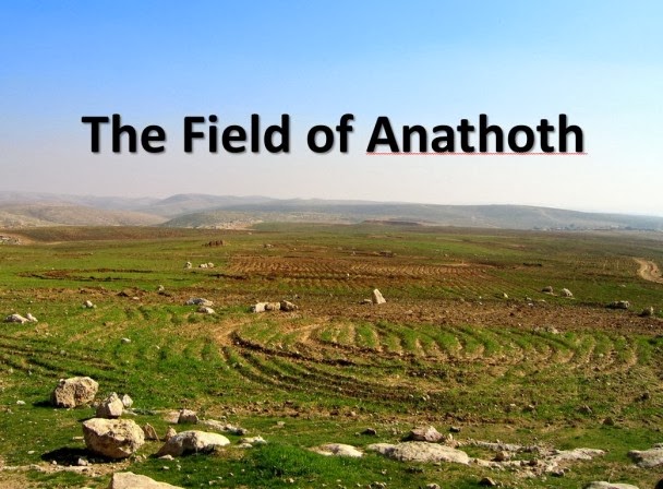 preachbrotherbob: Boaz And Jeremiah Also Purchased A Field Like Jesus ...
