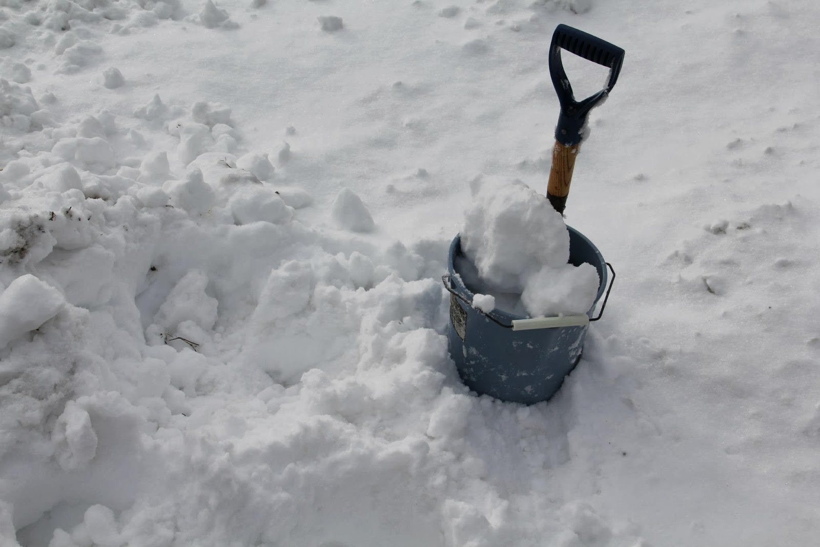 ...Just Visiting...: The Fine Art of Snow Luminaries