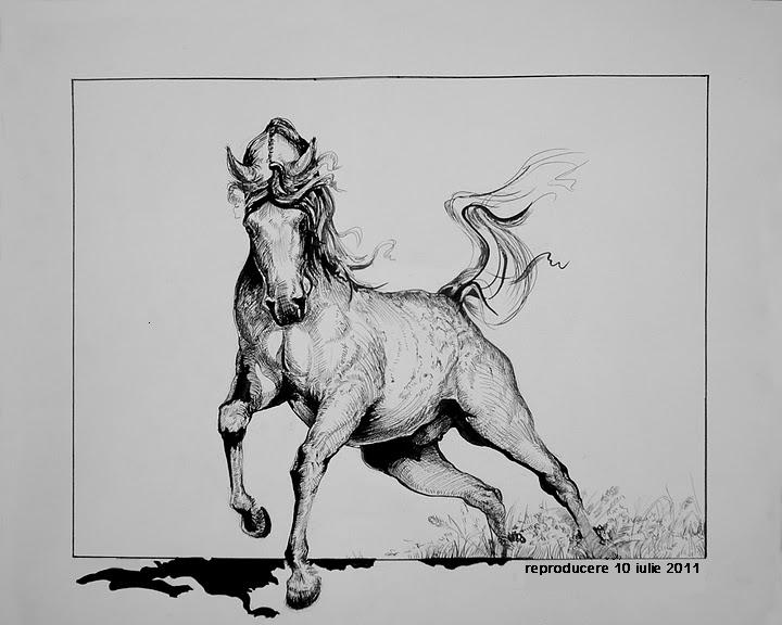 generatia67: GRAFICA / DESEN (graphics and drawings)