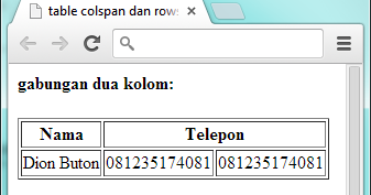 pelajaran anak Rpl: cara membuat tabel di HTML menggunakan atribut ...