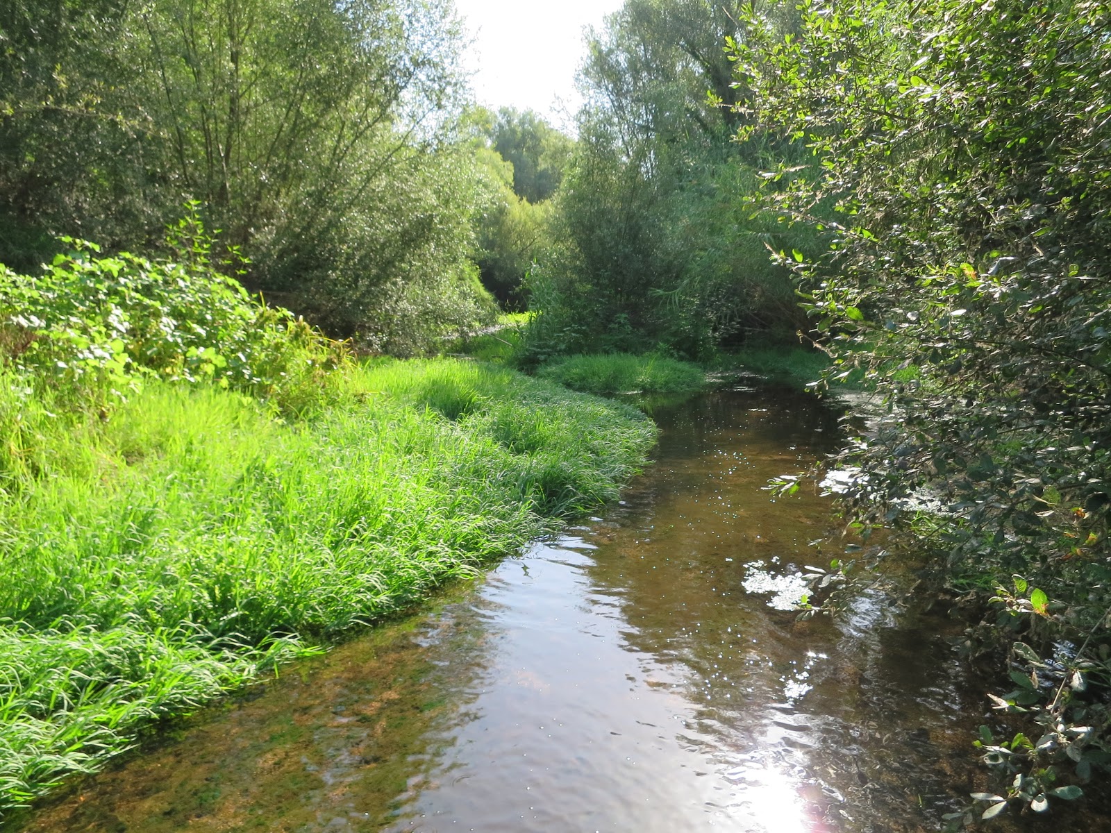 La Natura a la Baixa Tordera: La Tordera entre Hostalric, Massanes i ...
