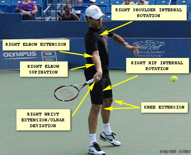 TennisSpeed Research: A Roadmap to a Hall-of-Fame Forehand - Part 4 ...