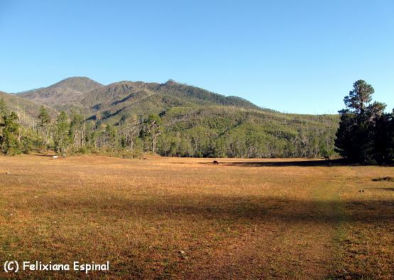 Ningún lugar está lejos... en RD: Pico Duarte y valle del Tetero 2012