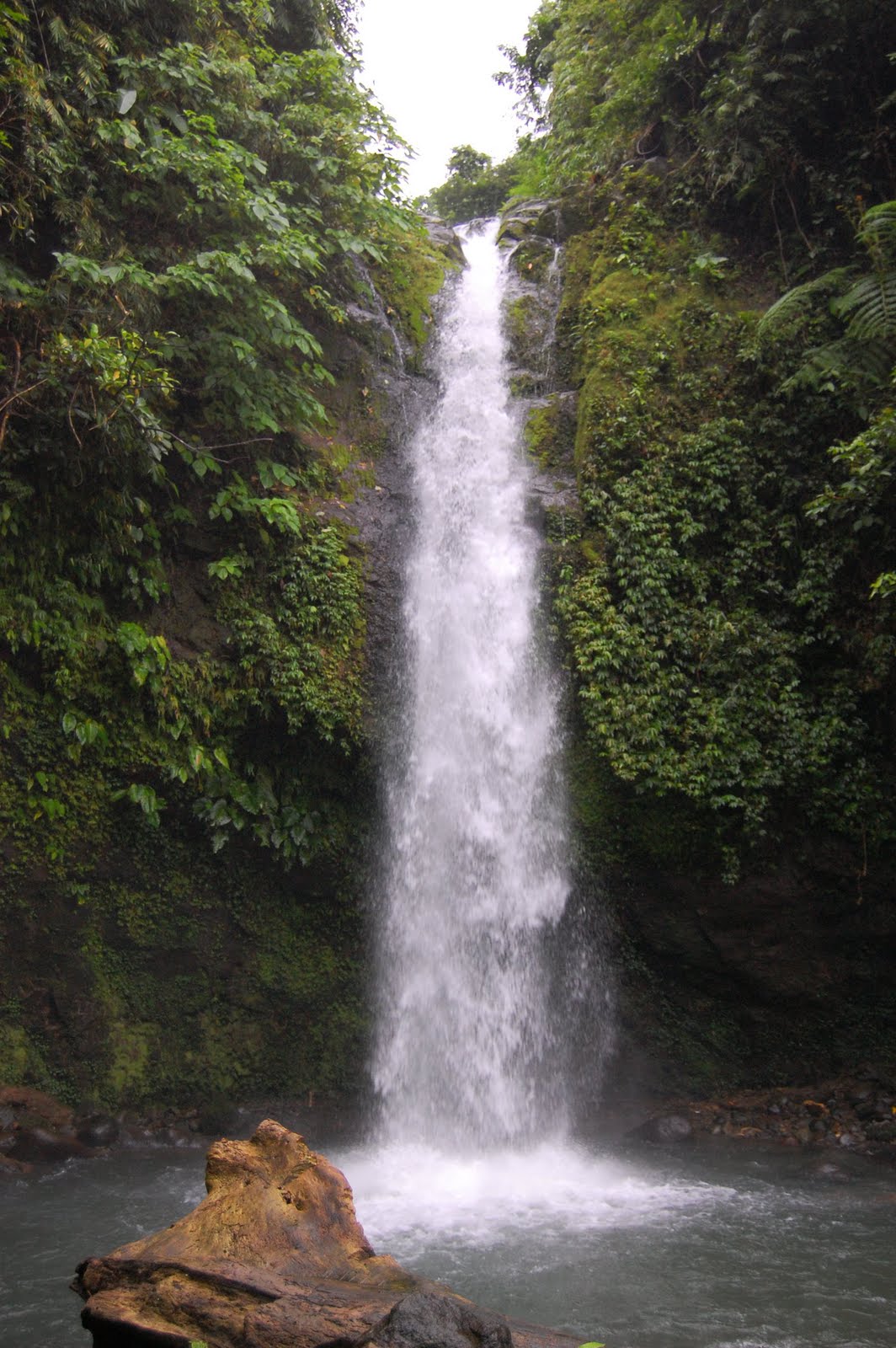 EVERYTHING UNDER ME: GAYON BICOL - ALBAY
