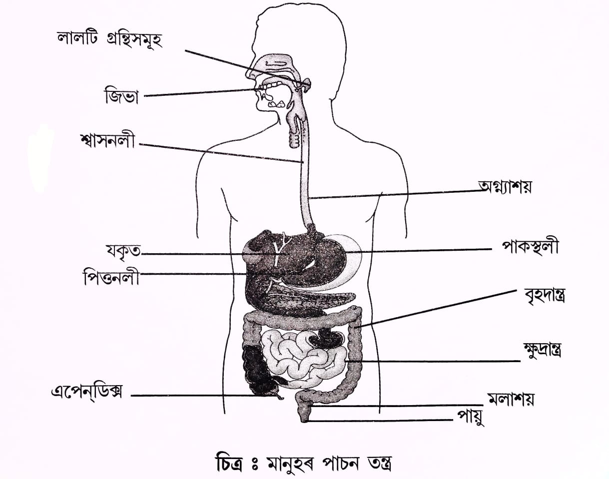 Lesson 2 Class 7 Science ion And Answer Lesson 2 Class 7 Science ion And Answer