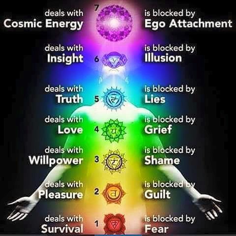 What are Chakras?