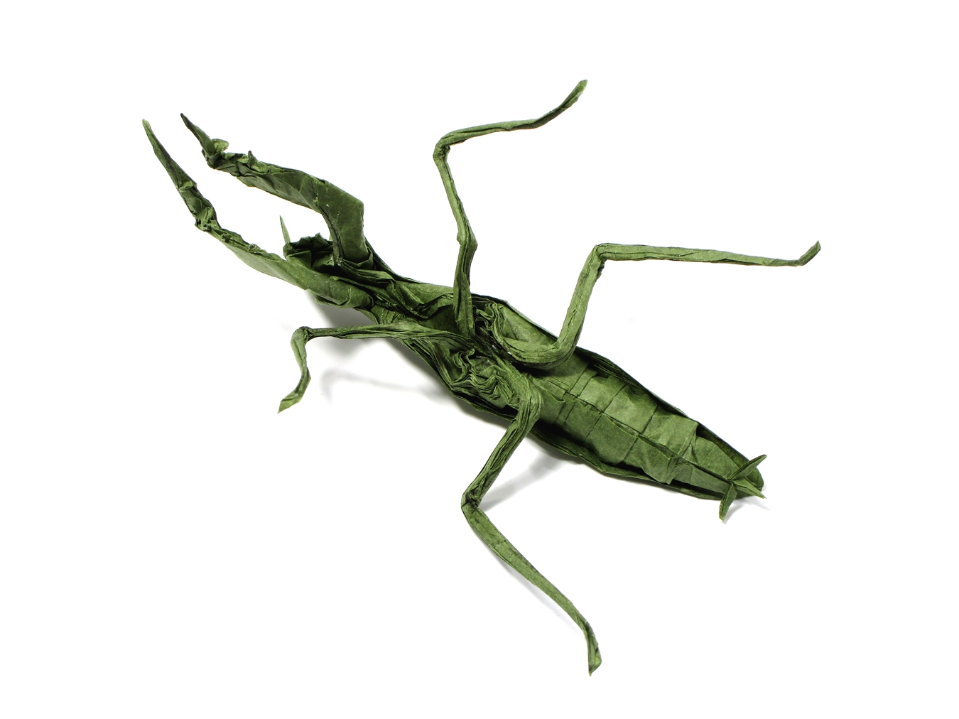 Mariano-Mi mundo el Origami: Boxer Mantis