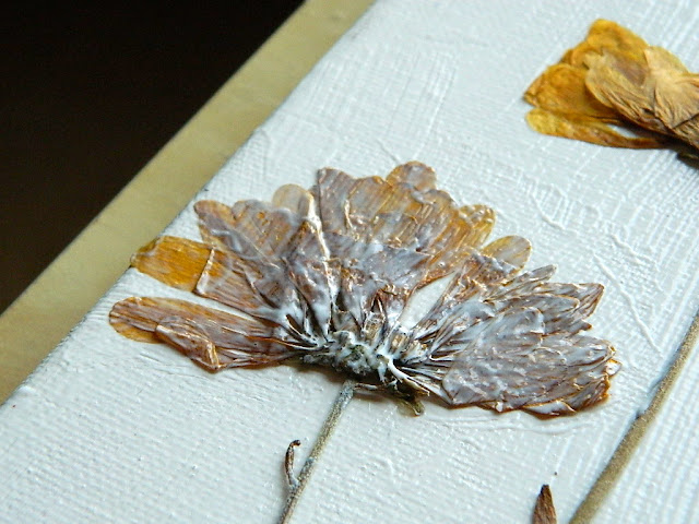 dried flowers art ~ art crafts projects