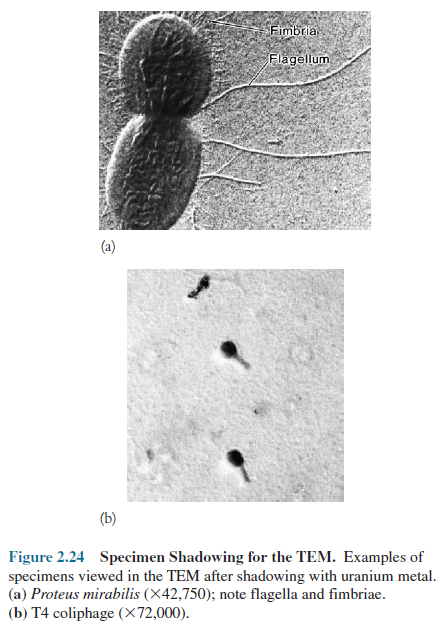 Microbiology Notes: The Study of Microbial Structure : Microscopy and ...