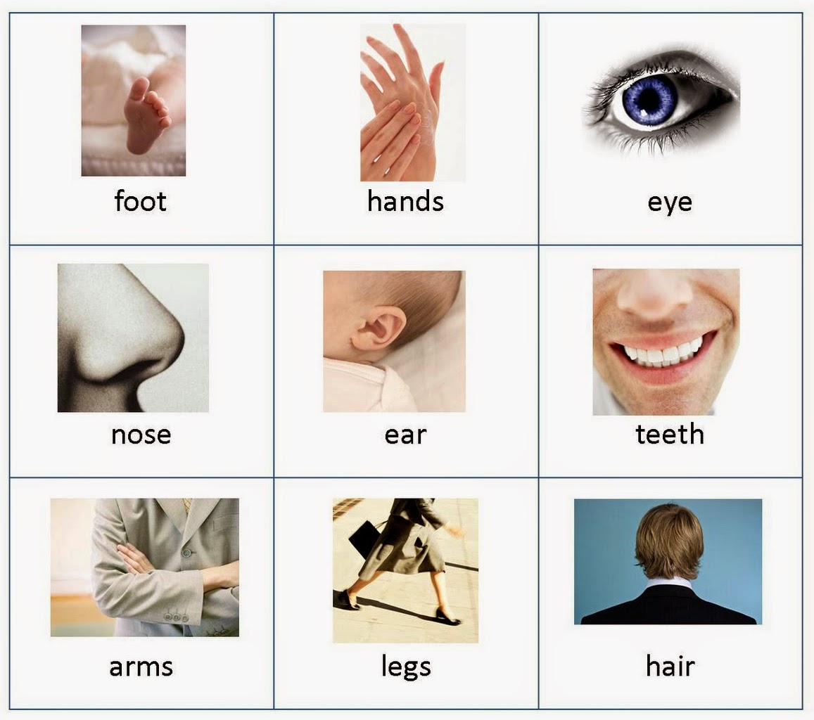 Kids Ultimate Zone Important Body Parts And Uses kids-ultimate-zone-important-body-parts-and-uses