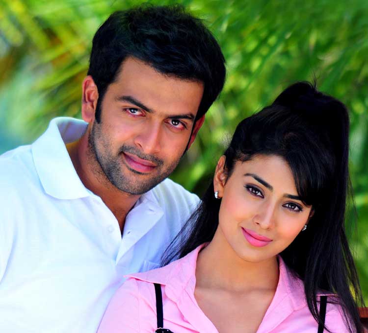 Pokkiri Raja Movie Latest Stills || Djsdrive Eworld || Movie Gallery ...