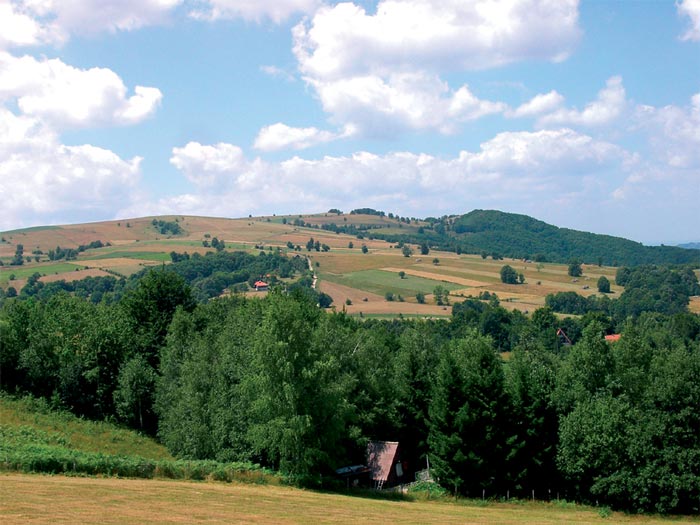 Rajac: Galerija slika Rajac