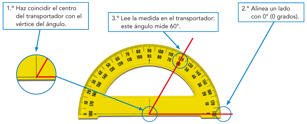 La ciencia es una aventura... Enseñarla también: Ángulos y transportadores
