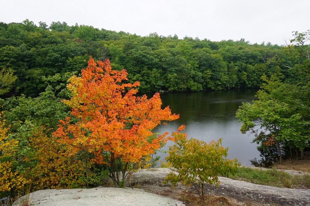 Harriman Hiker: Harriman State Park and Beyond: New Vista Loop Trail at ...