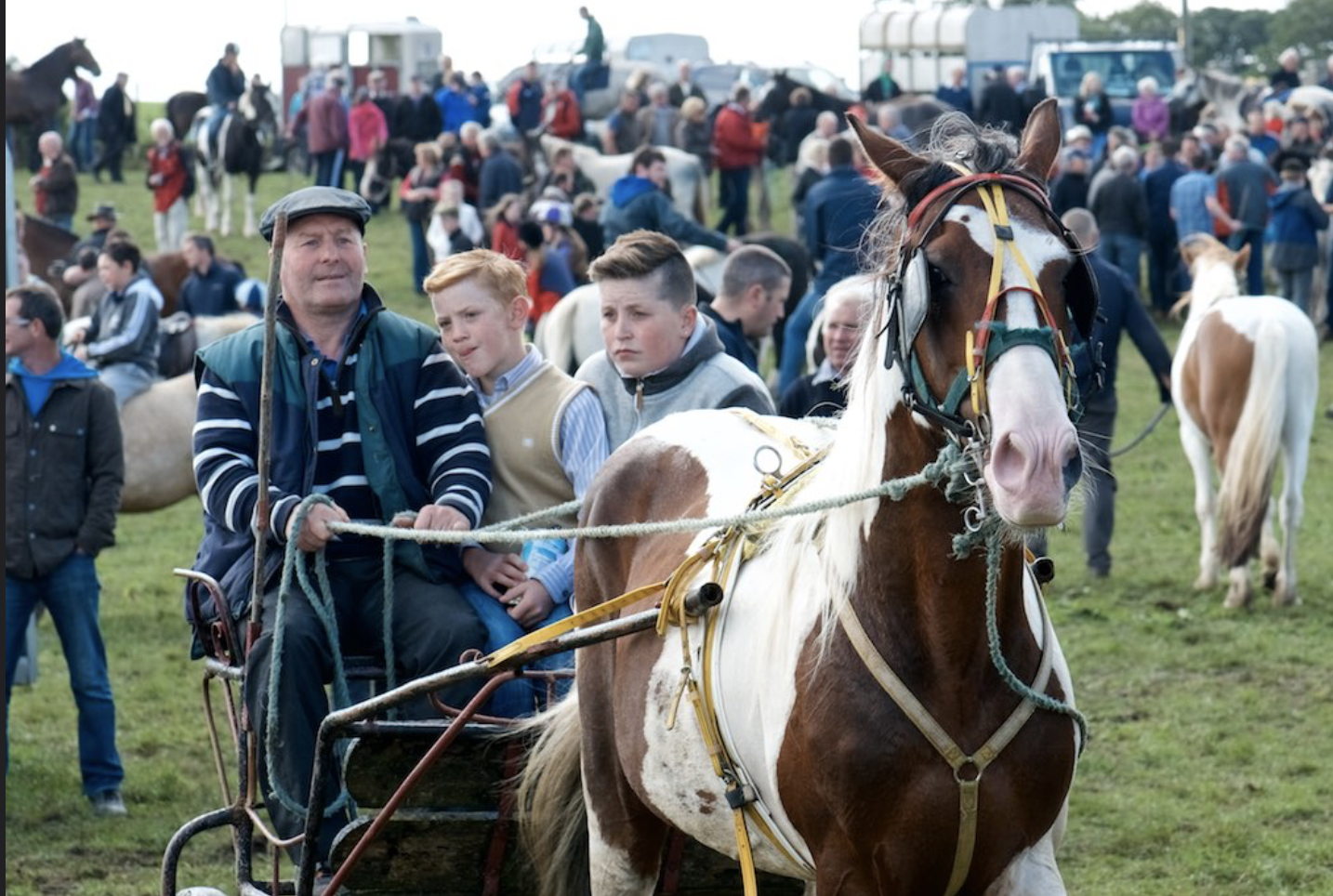 The Plashing Vole: Intermittent Photos 7 - back to Puck Fair.