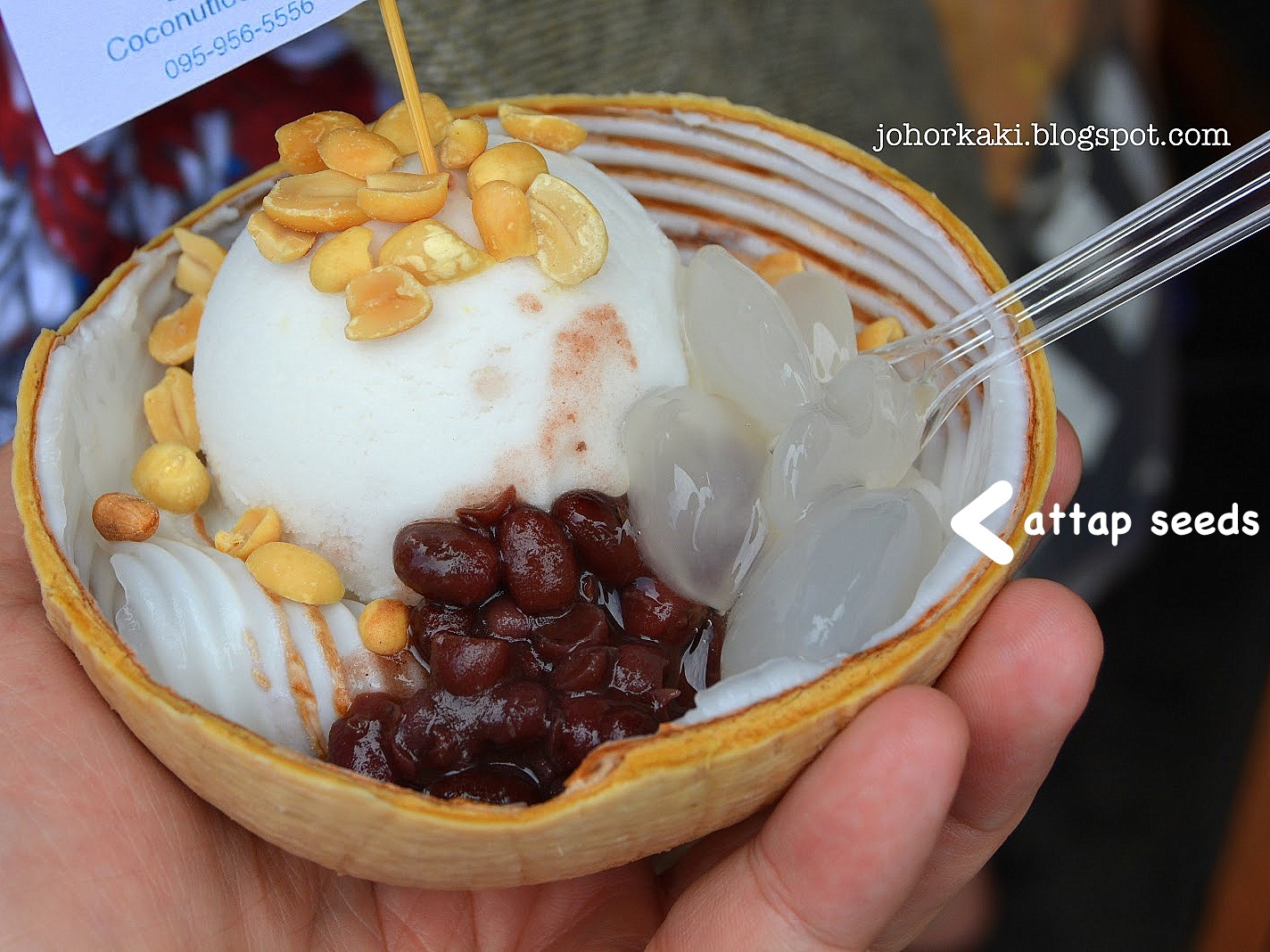 Singapore Foraging Diary · Edible Wild in our Concrete Jungle |Tony ...