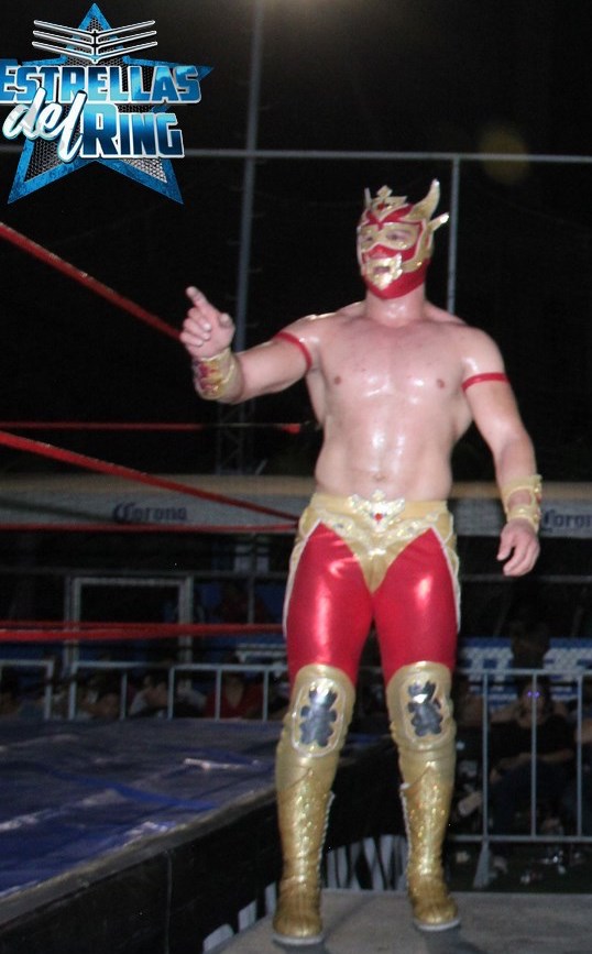 Beefcakes of Wrestling: Beefcakes of Lucha: Golden Magic