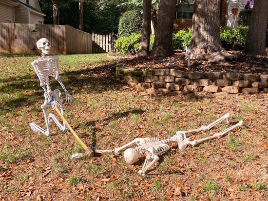 Runs for Cookies: Super Creative Skeleton Displays for Halloween! (repost)
