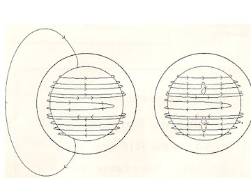 Brane Space: A Look At Basic Solar Dynamo Theory