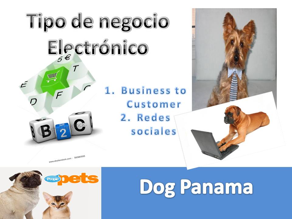 Dog Panama Perros en Panama : Donde Nos puedes ubicar