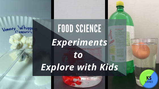 Food Science Activities for Kids