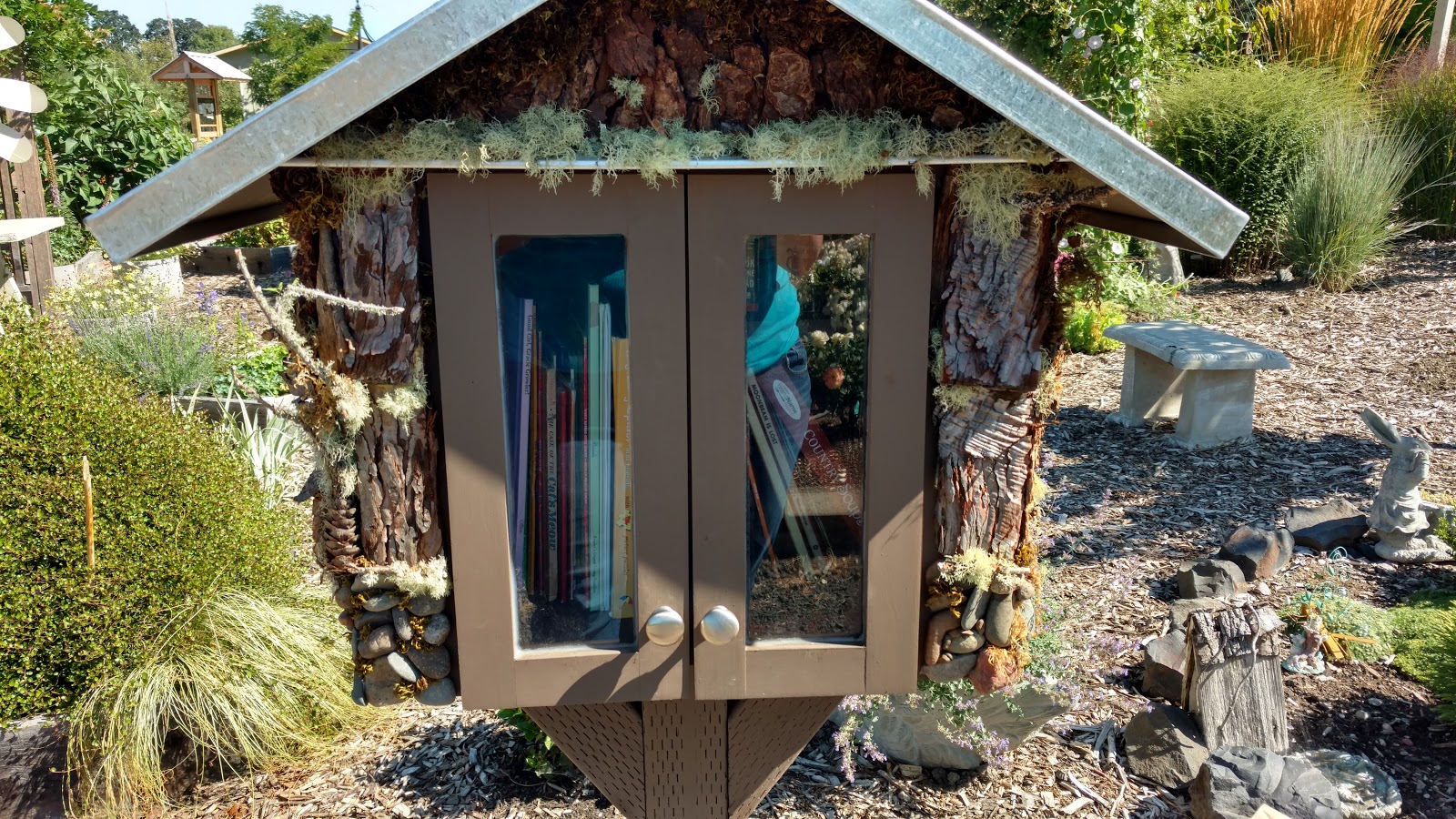 Mom with a Dandelion in Her Hair: Little Free Library - designed to ...