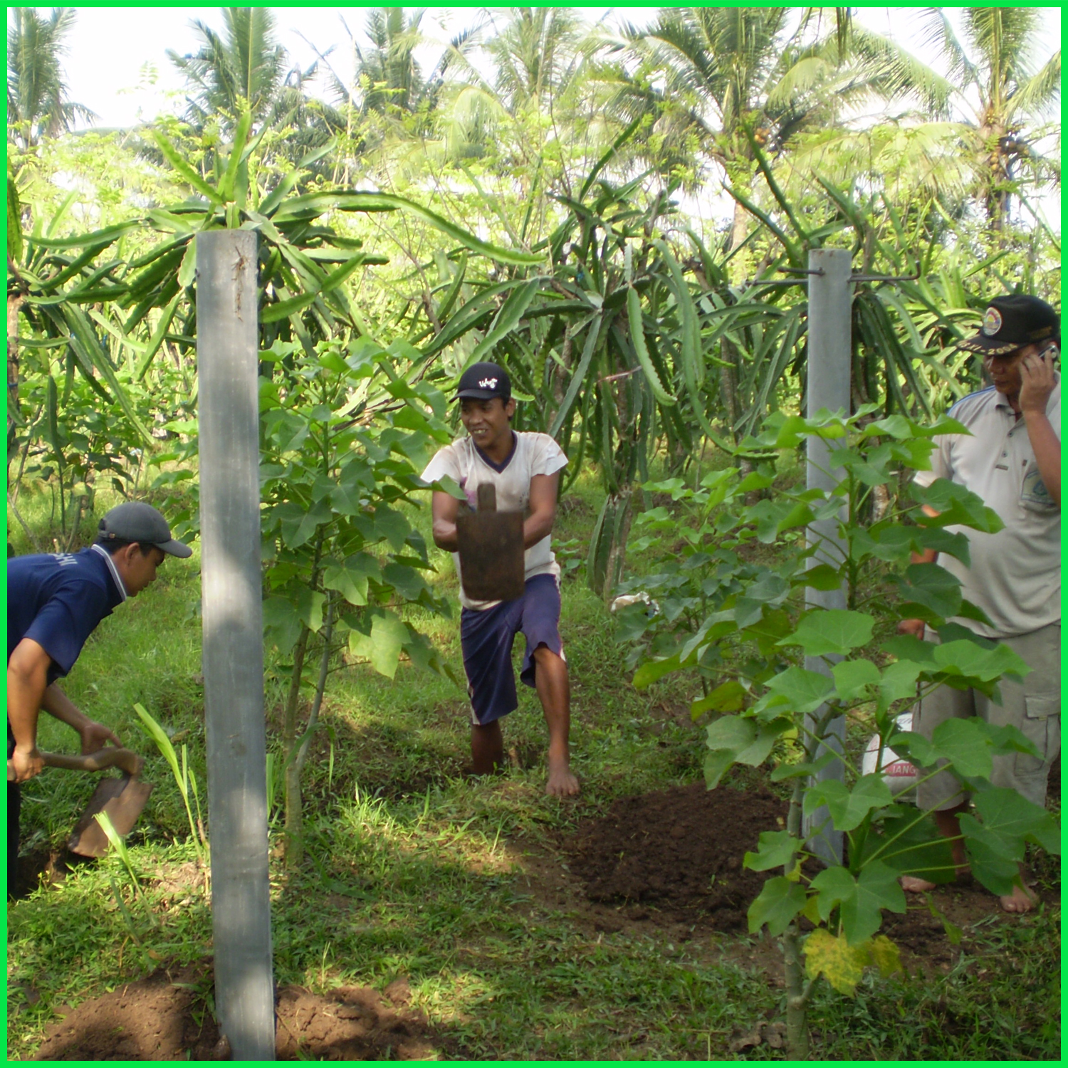 Profil P4.S "Karya Tani" Bagorejo ~ P4S Bagorejo