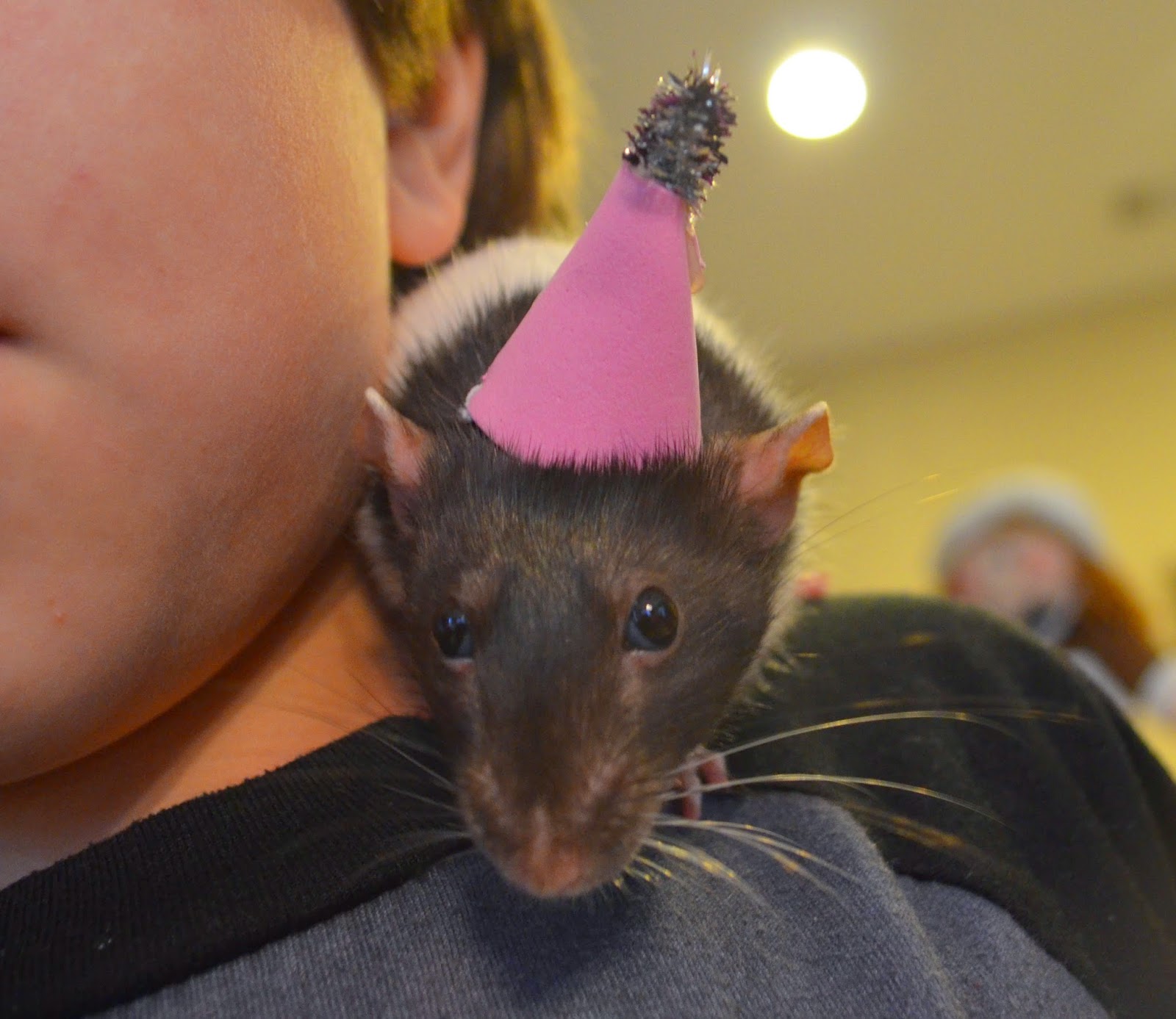 Crafty Mom of 3: It's A Rat Birthday Party!!!!