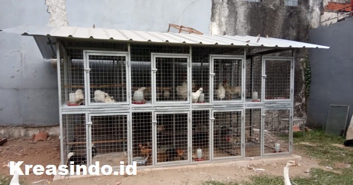 Repeat Order Kandang Ayam Besi penambahan Panggung Pak Eka Cinere