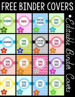 The Best of Teacher Entrepreneurs III: FREE MISC. LESSON - “Binder ...