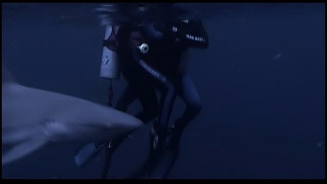 HORROR FOREVER: OCEAN STRACHU / OPEN WATER (2003)