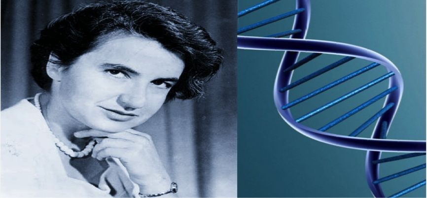 Fierce Women in/of History: Rosalind Franklin