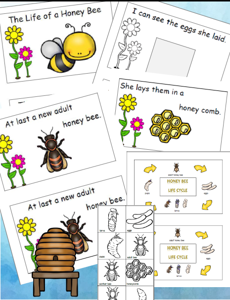 Let's Learn S'more!: The Life of a Honey Bee Activities