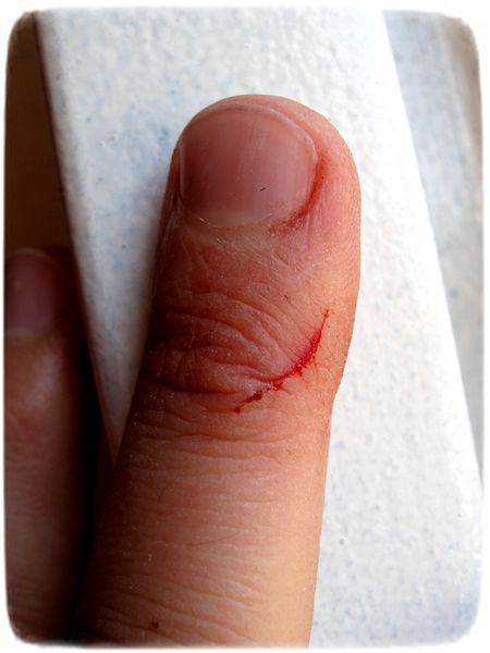 Środkowy palec poseł Lichockiej