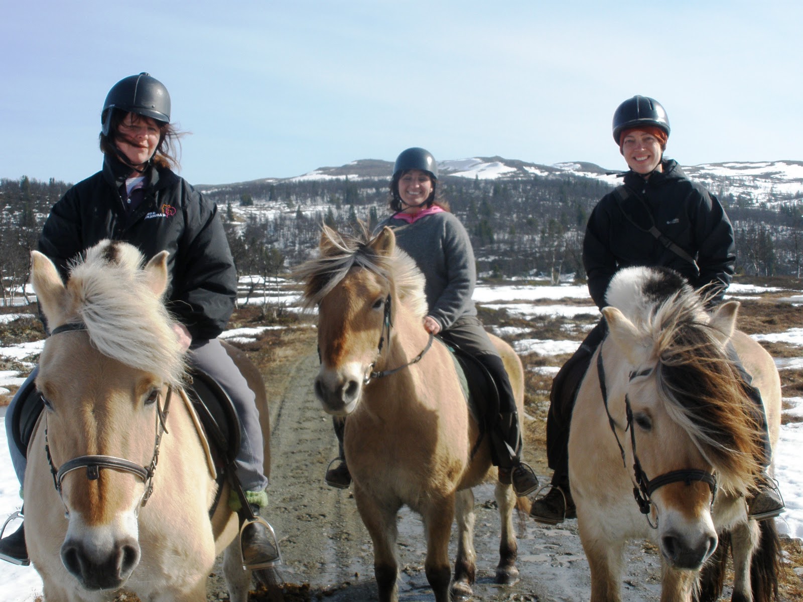 Hundetrening i Fokus: BAT seminar med Grisha Stewart