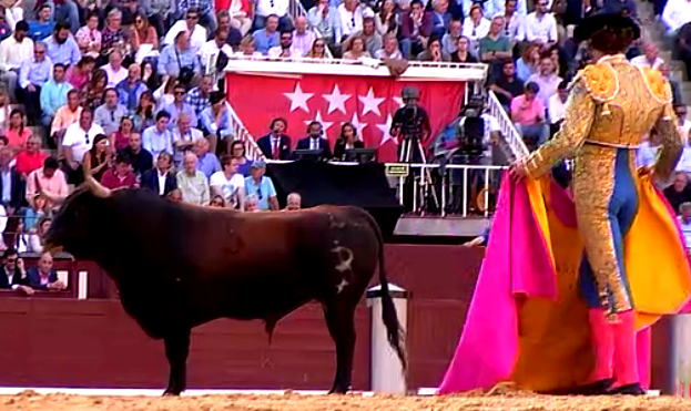 Toreo en Red Hondo: HOMENAJE A ROMÁN