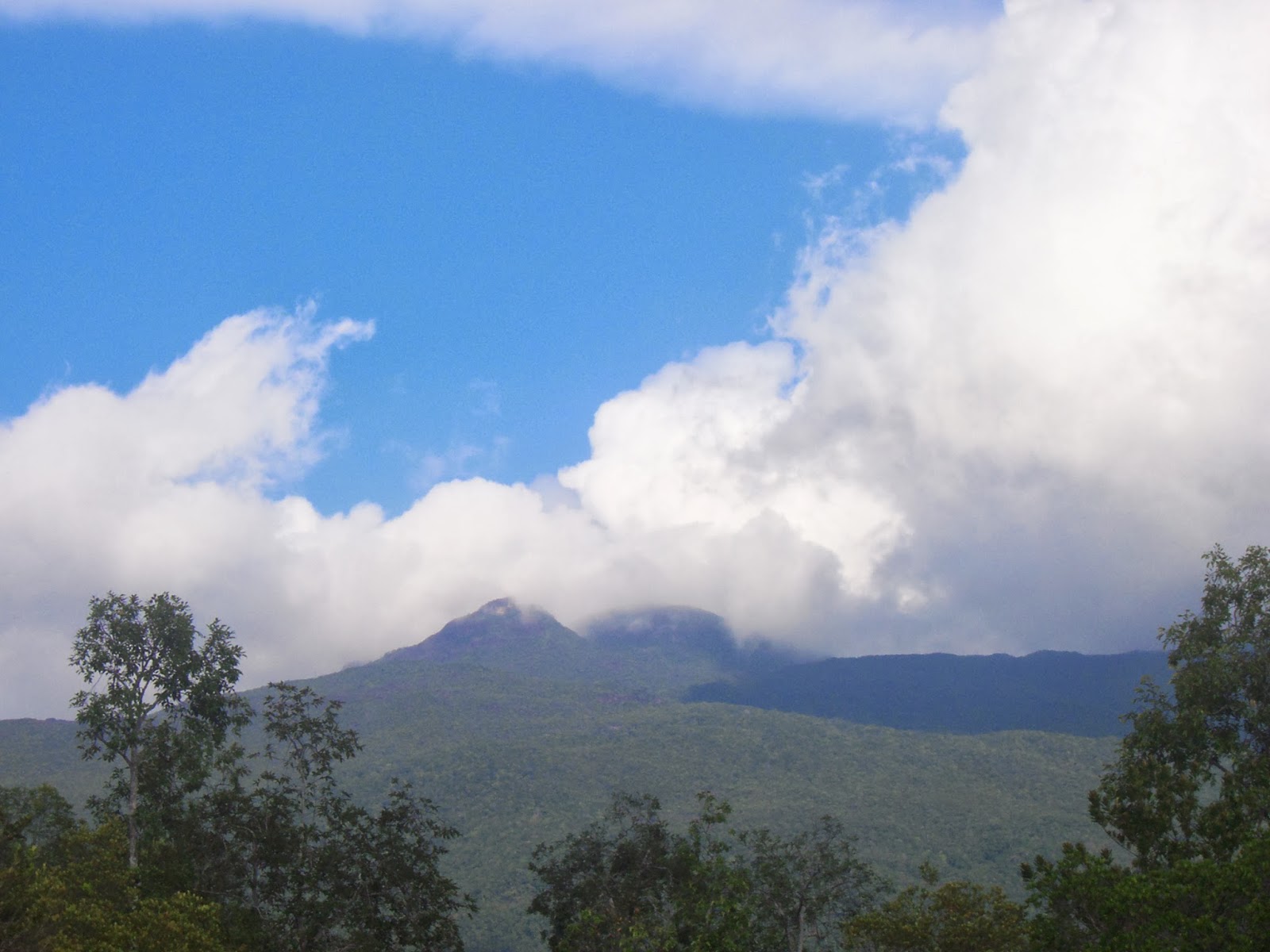 Gunung-gunung di Kalimantan Barat - BorneoScape