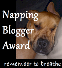 Napping Blogger Award – Yearning for Wonderland
