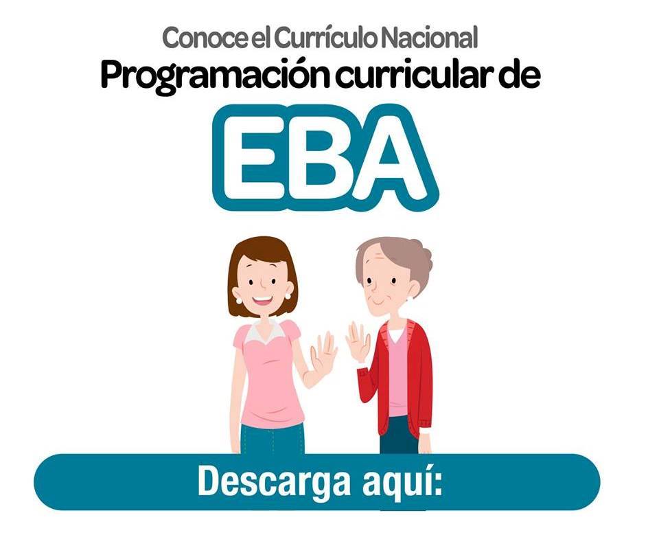 EDUCACIÓN BÁSICA ALTERNATIVA: Programa Curricular EBA